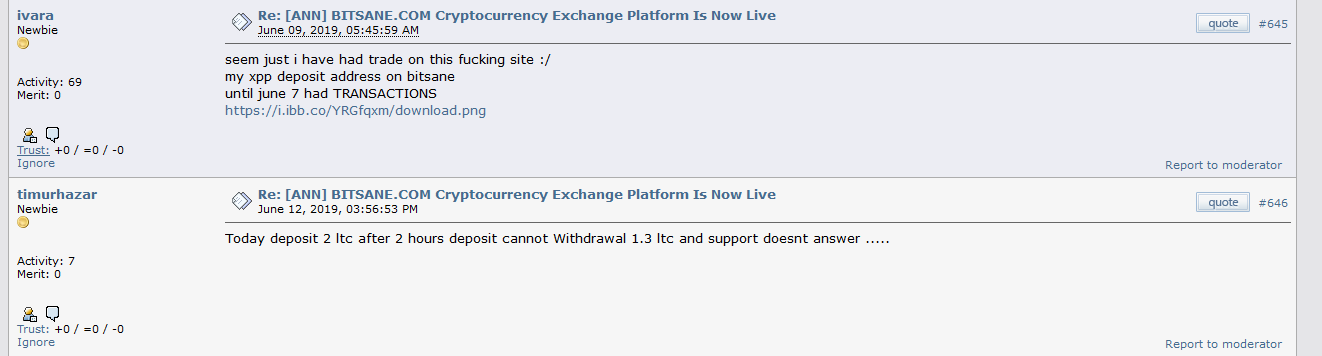 Another Exit Scam?, BITSANE Goes Offline - The Coins Post
