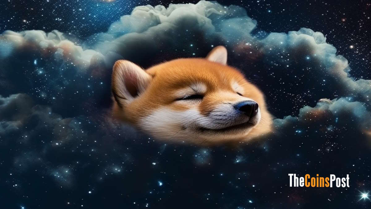 Understanding Shiba Inu Coin - The Coins Post